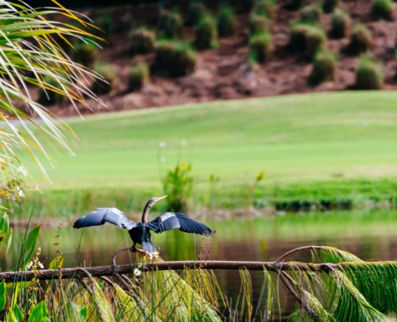About Us - Collier’s Reserve Country Club