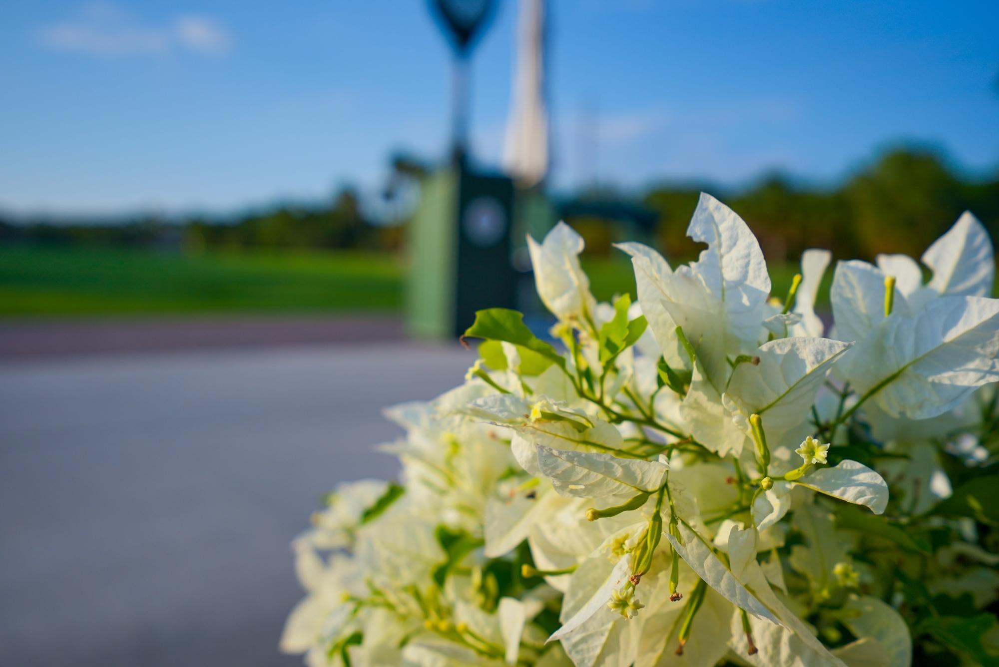 About Us - Collier’s Reserve Country Club